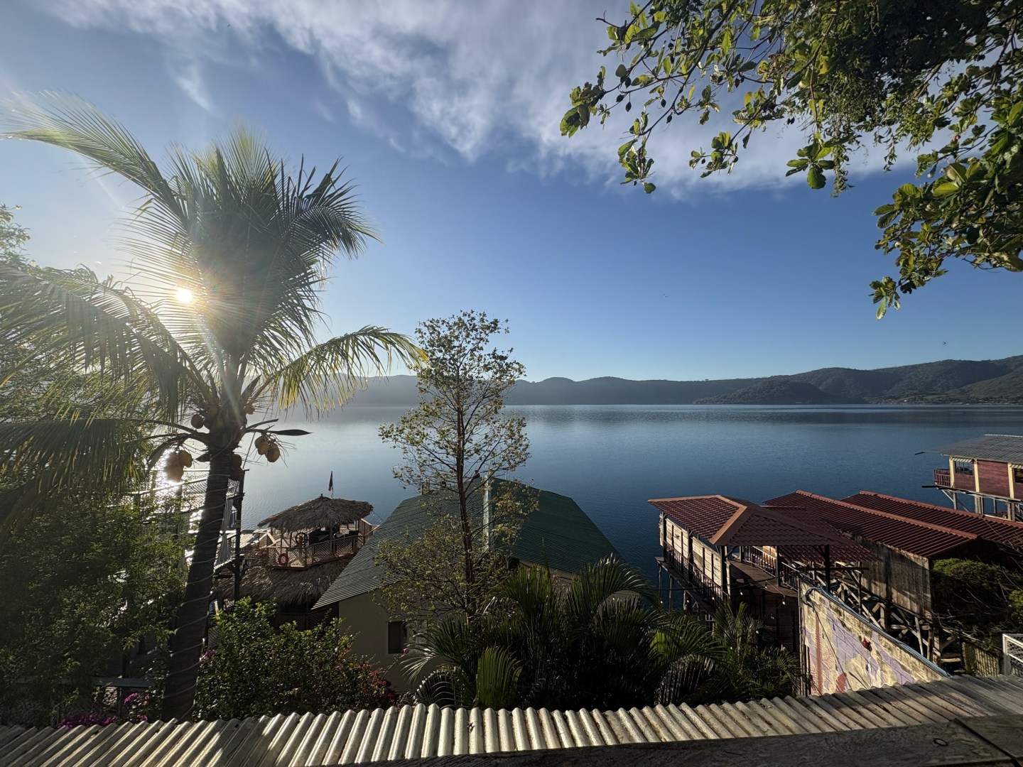 2025 in Review – Teryn Warnke